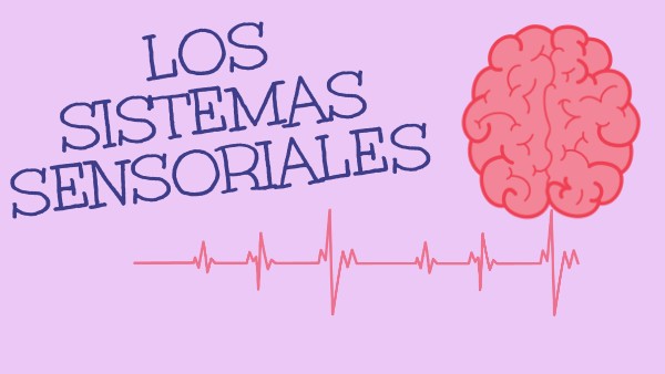 Los sistemas sensoriales