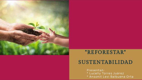 "Presentación de Reforestar" | Genially