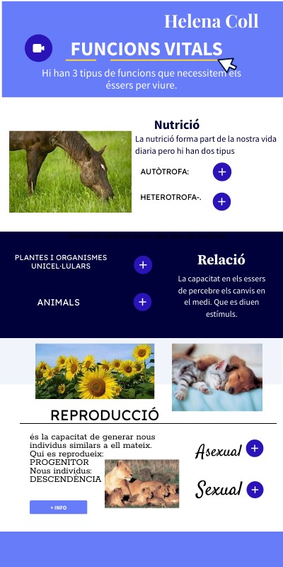 INFO GENIAL | Genially