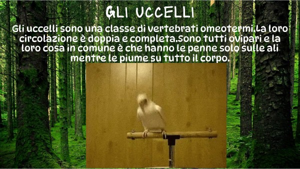 Gli uccelli