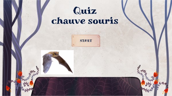 Quiz sur les chauve souris