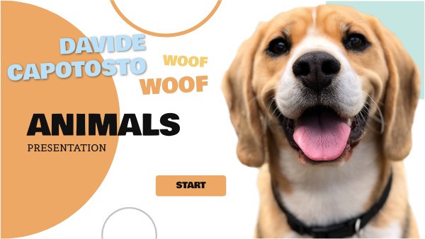 Animals presentation | Davide Capotosto IB | Genially