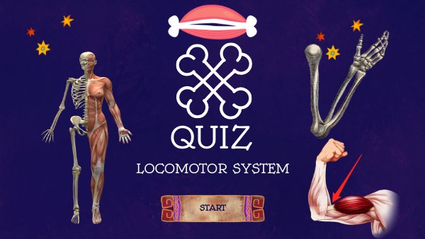 Quiz locomotor