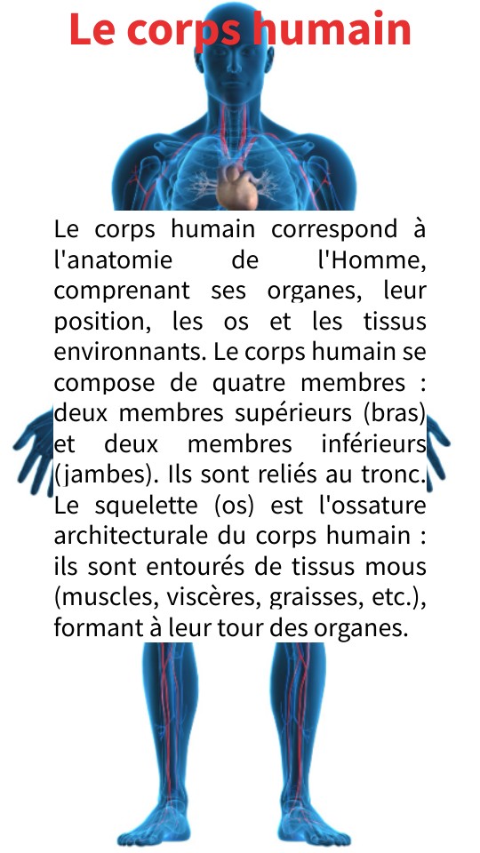 Corps humain | Genially