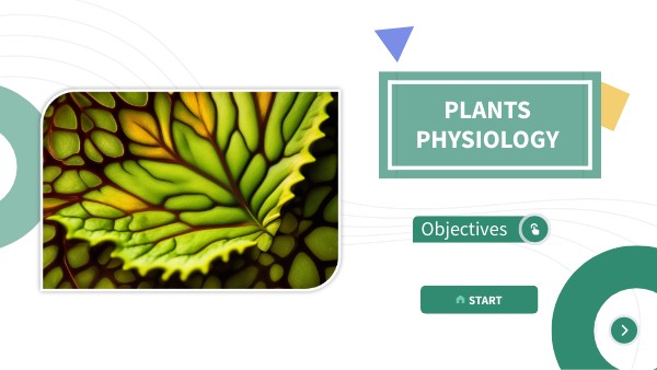 SC11-WEEK3-PLANTS PHYSIOLOGY | Genially
