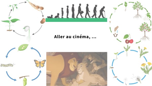 Partagé-C3-T2-SD8-Les cycles de la vie et leurs interactions