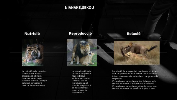 les funcions vitals | Genially