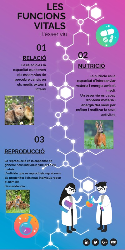 INFOGRAFIA LES FUNCIONSS VITALS | Genially