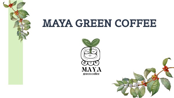 Maya Green Coffee