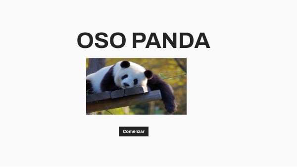 OSO PANDA