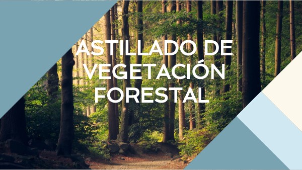 ASTILLADO DE VEGETACIÓN FORESTAL