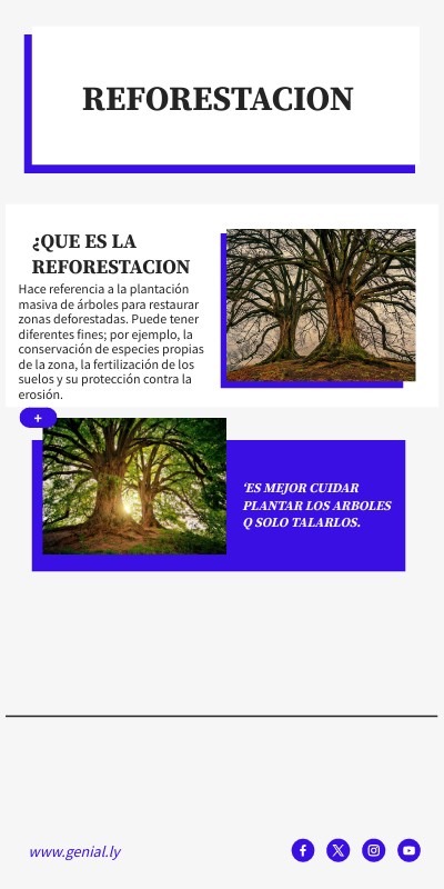 Infografía Sobre La Reforestacion | Genially