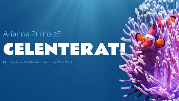 Presentazione Celenterati | Genially