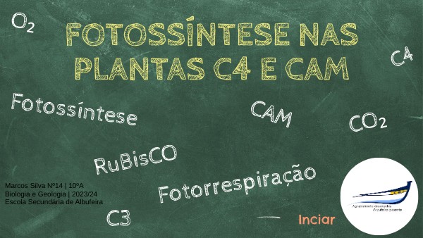 Fotossíntese nas plantas C4 e CAM
