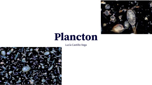 PLANCTON SCIENCE CORNER | Genially