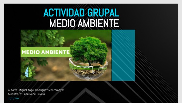 Actividad Grupal