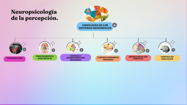 NCC PERCEPCIÓN KU KU BRICIA IRACEL | Genially