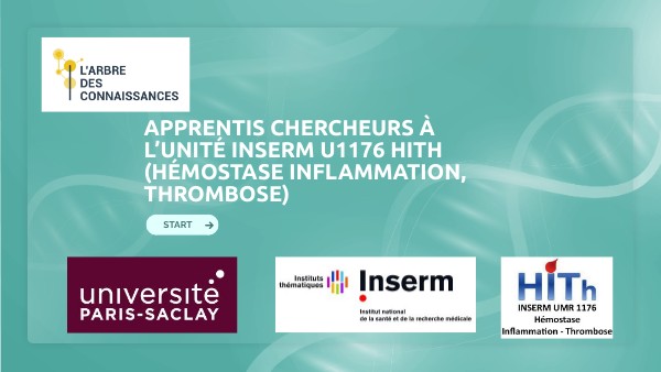 Apprentis chercheurs à l’Unité INSERM U1176 HITh