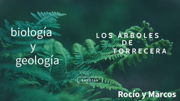 byg los árboles | Genially