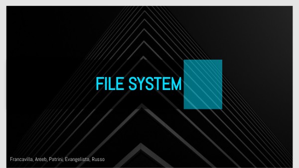 File System