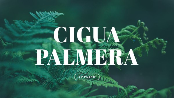 Cigua palmera.