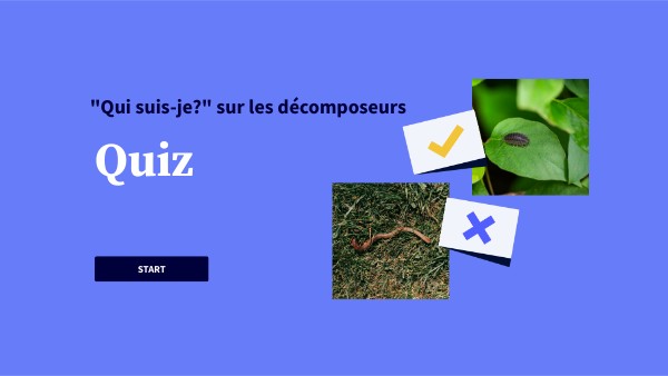 Quiz les décomposeurs