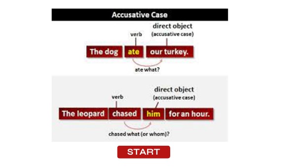 INTERACTIVE ACCUSATIVE CASE D.O. DEF/INDEF | Genially