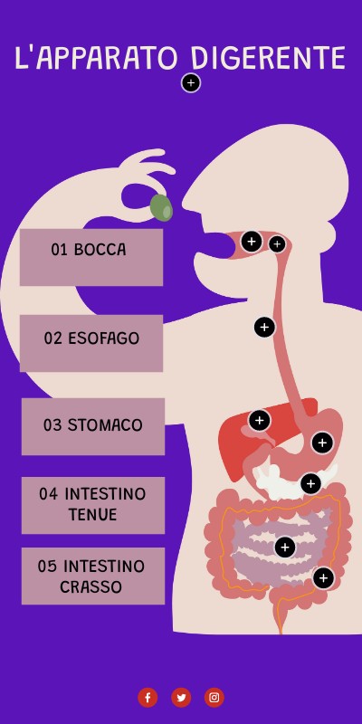 DIGESTIVE VERTICAL INFO | Genially