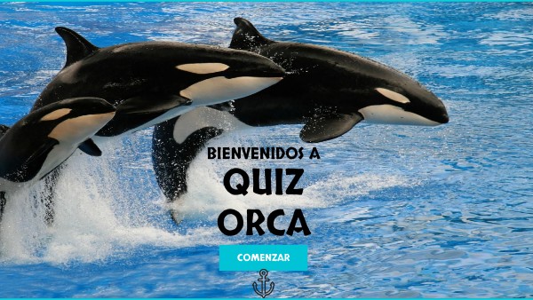 Quiz orca