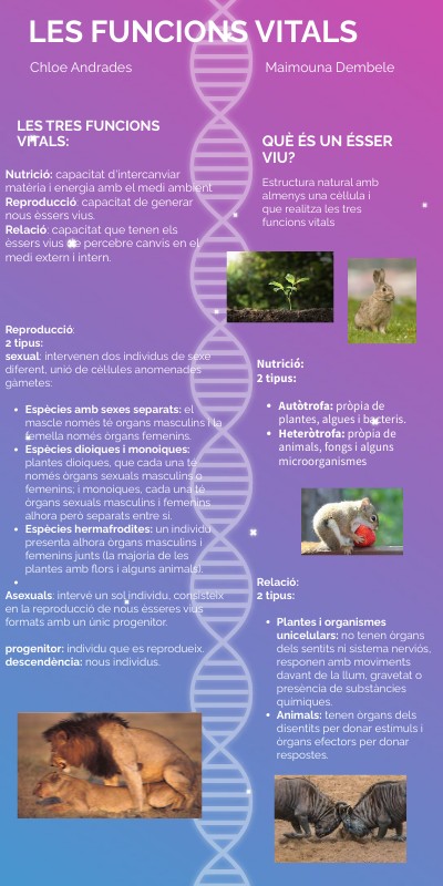 Les funcions vitals | Genially