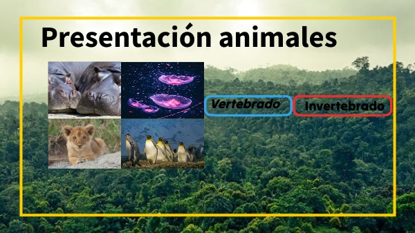 PRESENTACIÓN ANIMALES