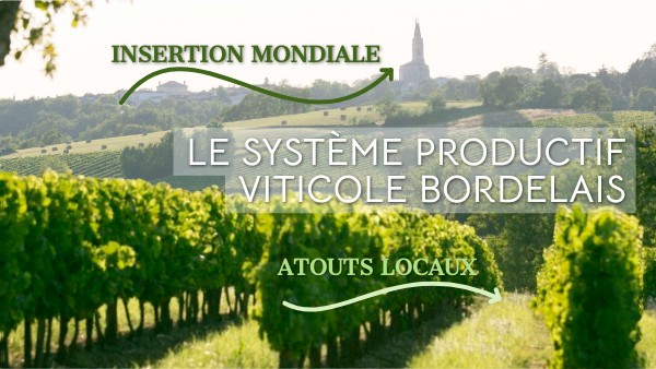 Le système productif viticole Bordelais