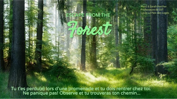 Escape from the forest1 | Genially