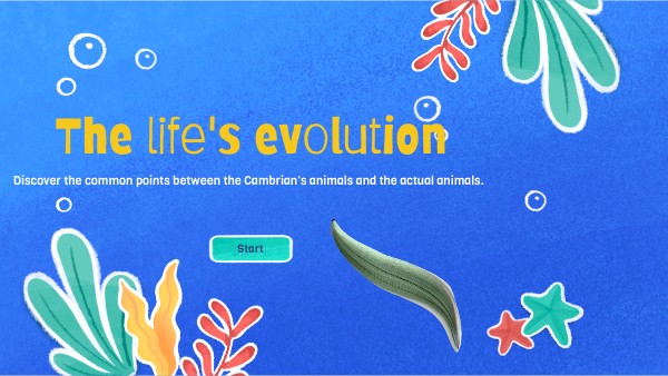 The life's evolution