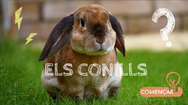 conills