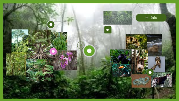 Tropical Rainforests