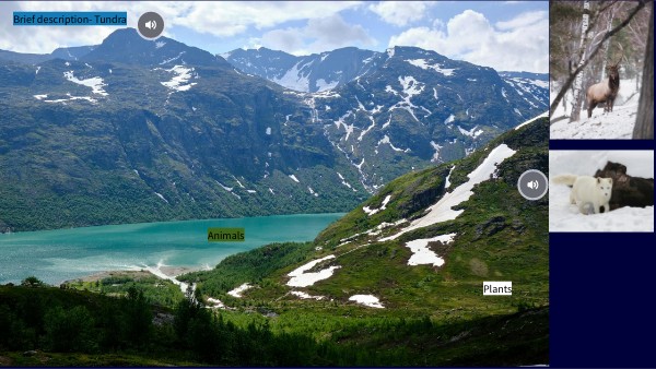 Essential Interactive Image | Genially