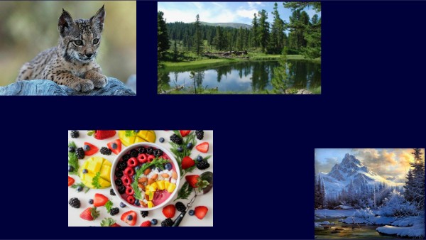 Essential Interactive Image