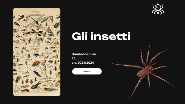 gli insetti
