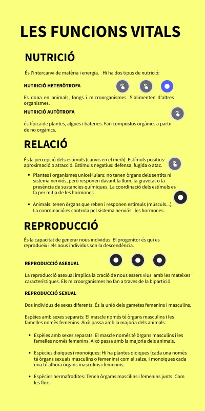 LES FUNCIONS VITALS_IRENE CABANAS PÉREZ | Genially