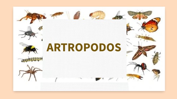 Artropodos. | Genially