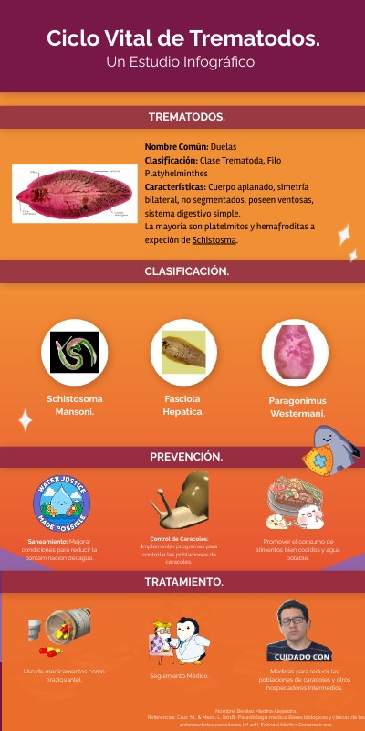INFOGRAFIA Ciclo Vital de Trematodos | Genially