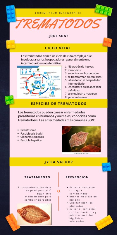 CUBES INFO | Genially