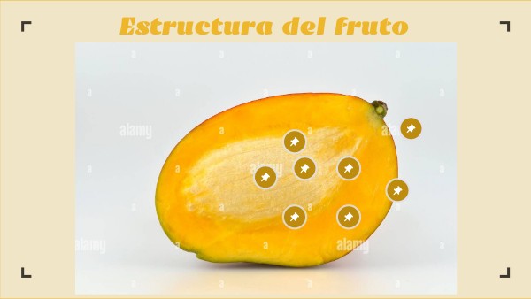 Estructura del fruto | Genially