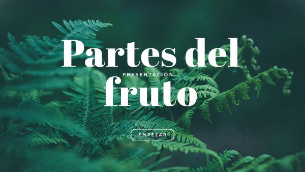 Partes del fruto