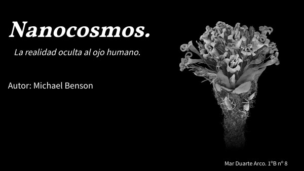Nanocosmos.