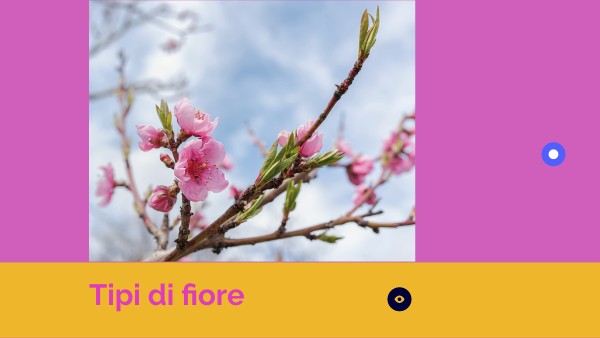 Tipi di fiori