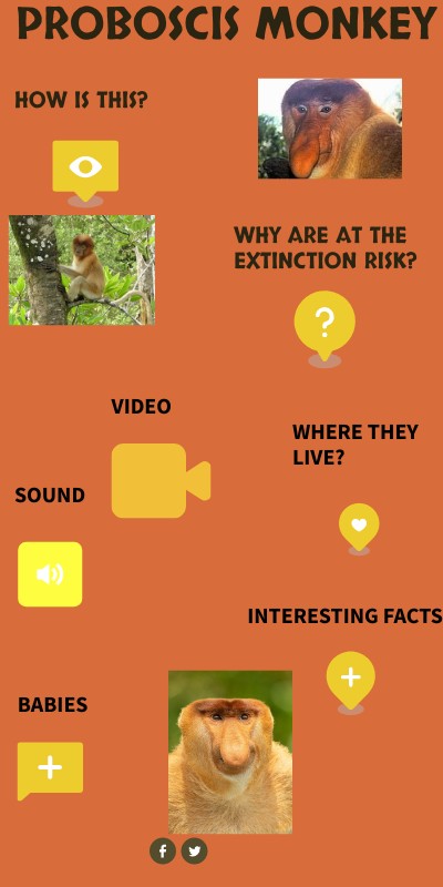 PROBOSCIS MONKEY POST