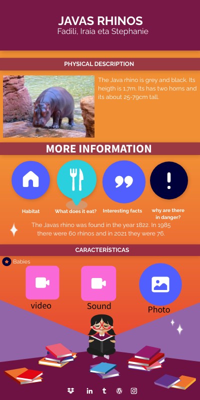 JAVA RHINOS PROJECT | Genially