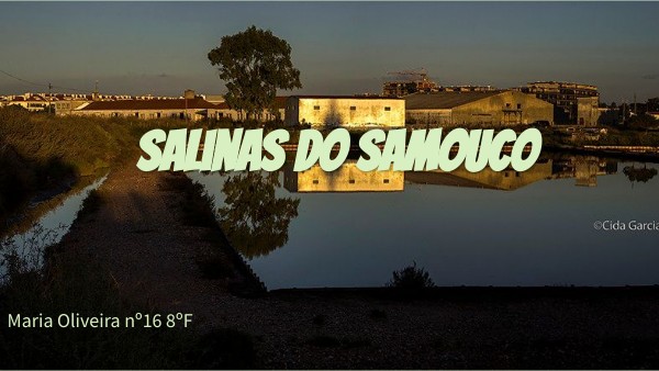 salinas do samouco | Genially